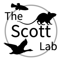 Blog – Scott Lab @ McMaster