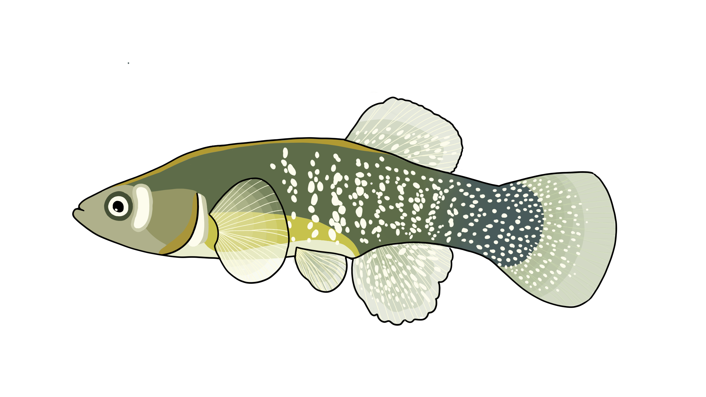 Aerobic Performance and the Oxygen Transport Pathway – Scott Lab @ McMaster