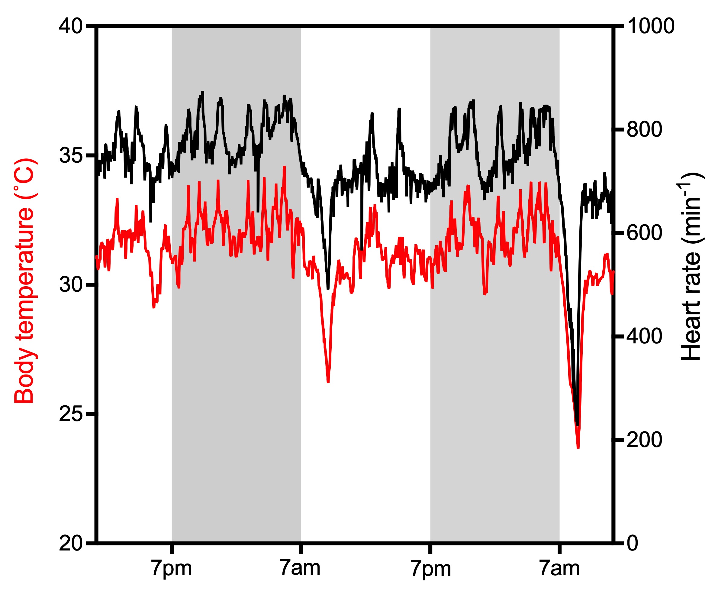 Thermoregulation and Climate Change – Scott Lab @ McMaster