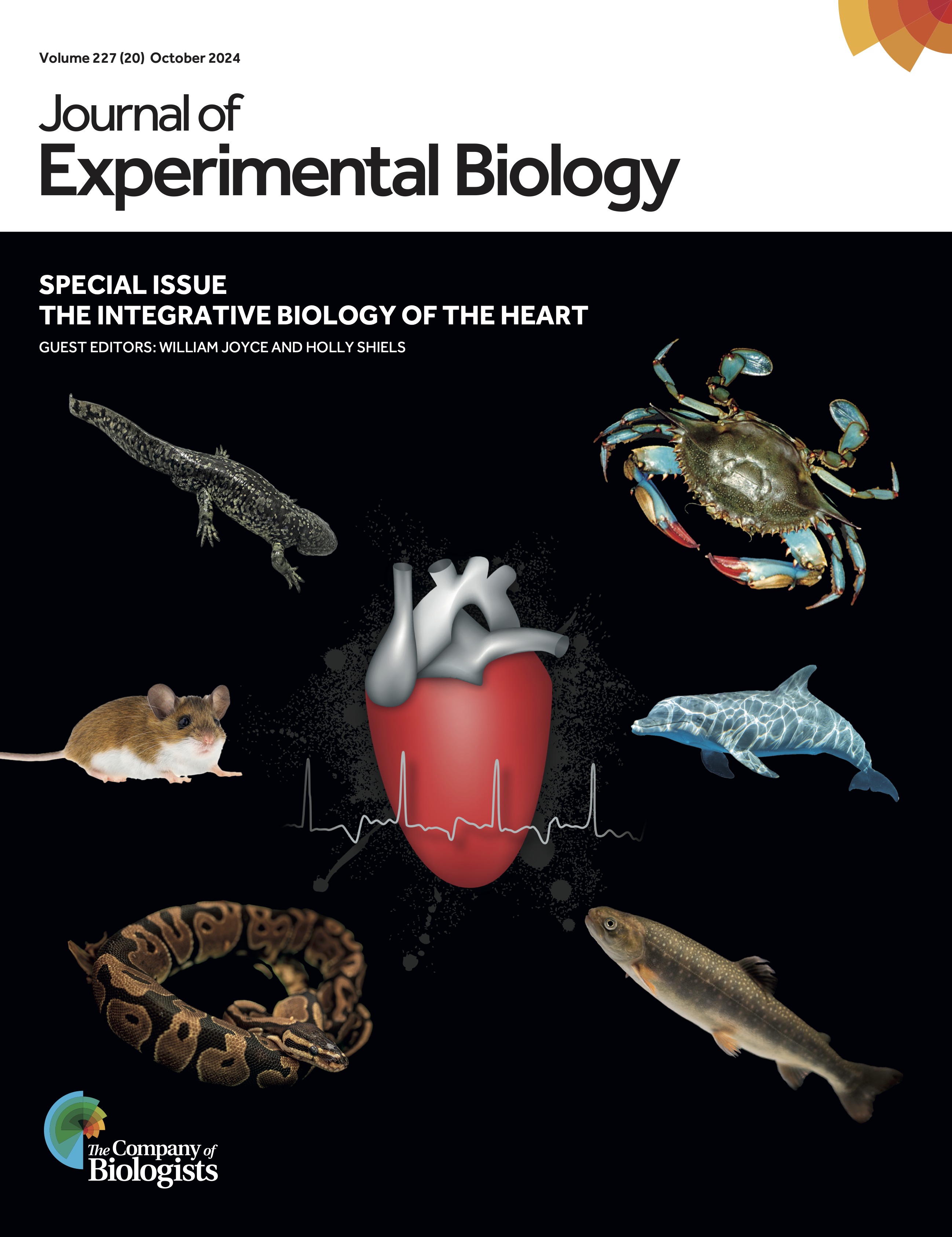 Publications – Scott Lab @ McMaster